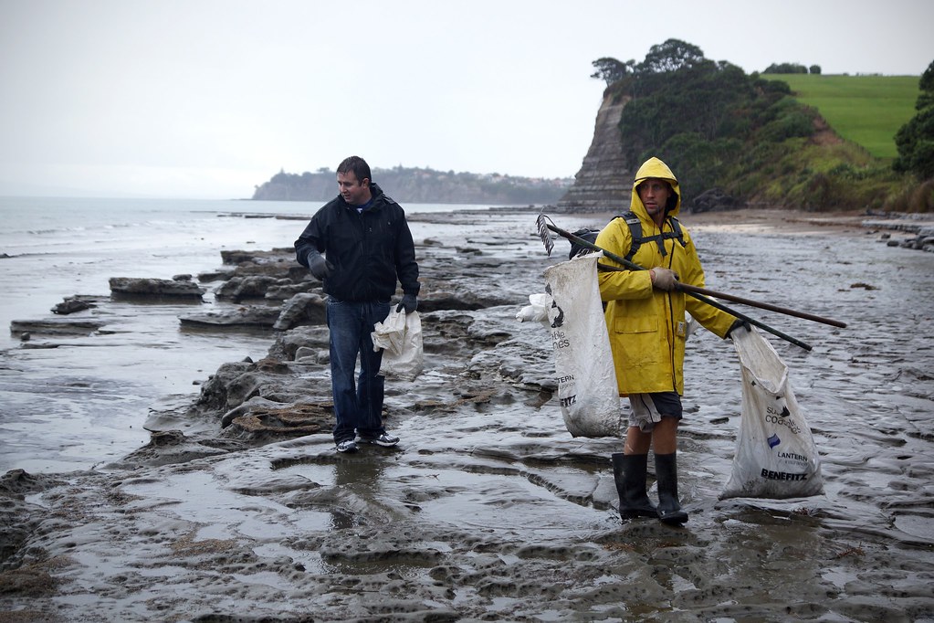 Lantern Insurance Long Bay Clean-up | Sustainable Coastlines