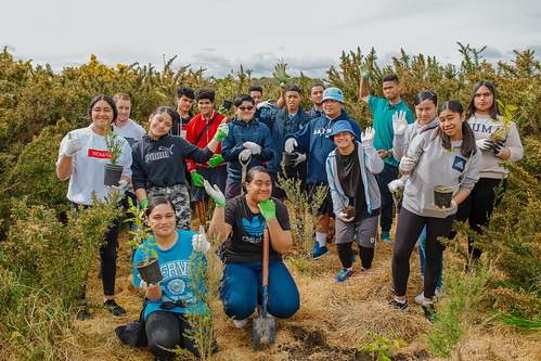 Vector Urban Forest Planting at Puhinui Reserve – Day 2 | Sustainable ...