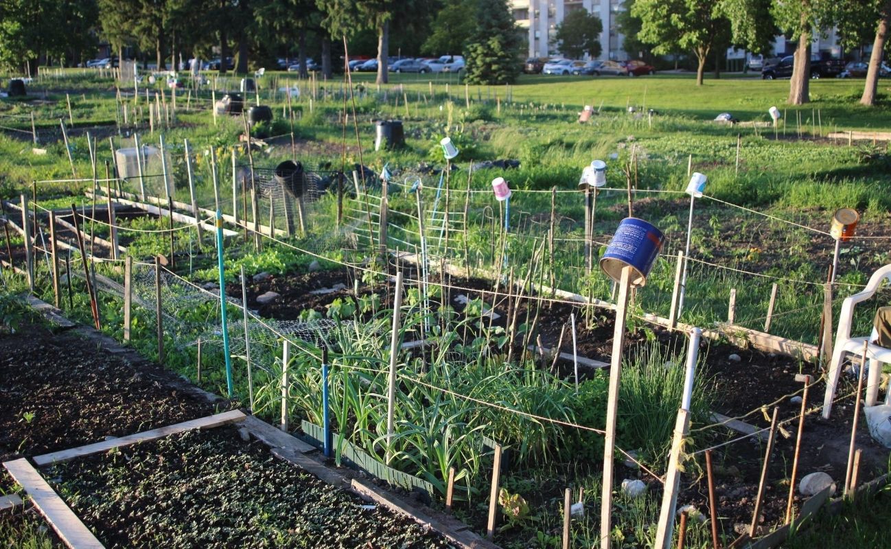 Connect with nature in our cities | Sustainable Coastlines