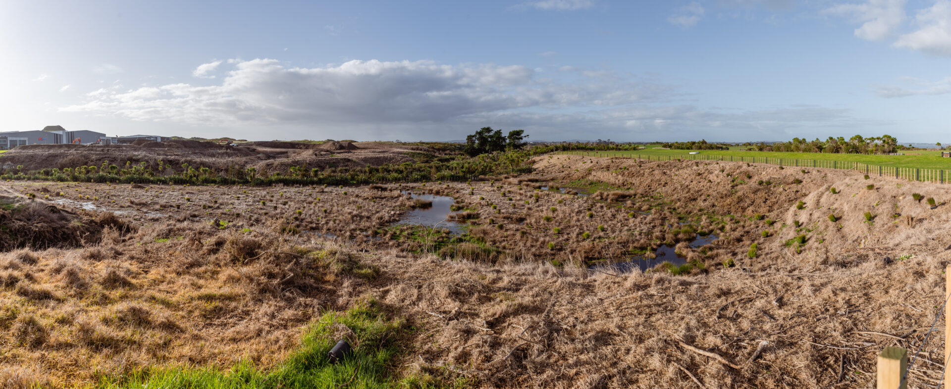 Tāmaki Makaurau (Auckland) Tree Planting, Puhinui Reserve | Sustainable ...