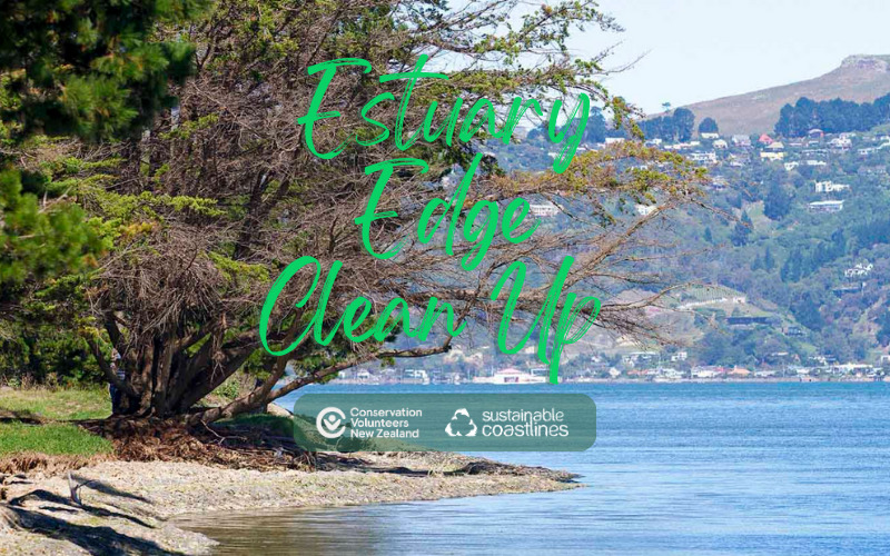 Ōtautahi Christchurch Seaweek 2024 Public Clean-up, Estuary Edge ...