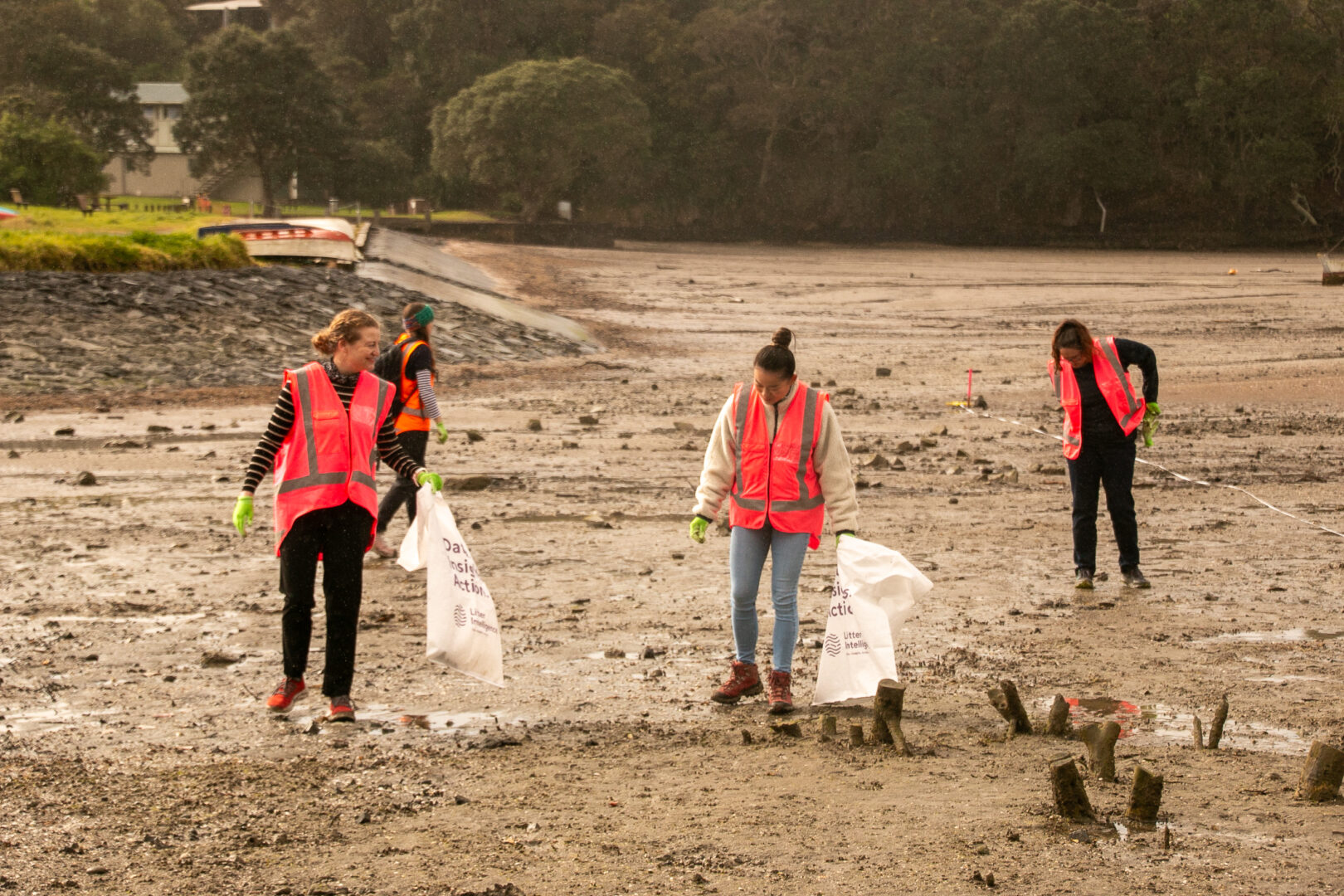 Litter Intelligence unites efforts to tackle plastic pollution ...