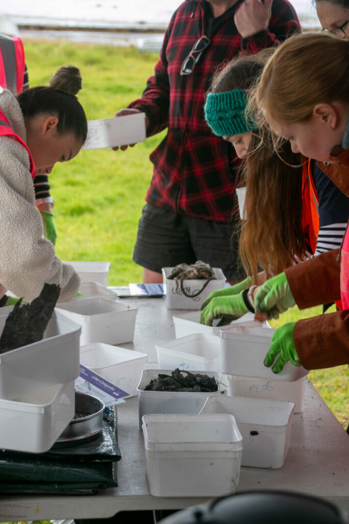 Hitting the sweet spot: why regular beach litter surveys matter ...