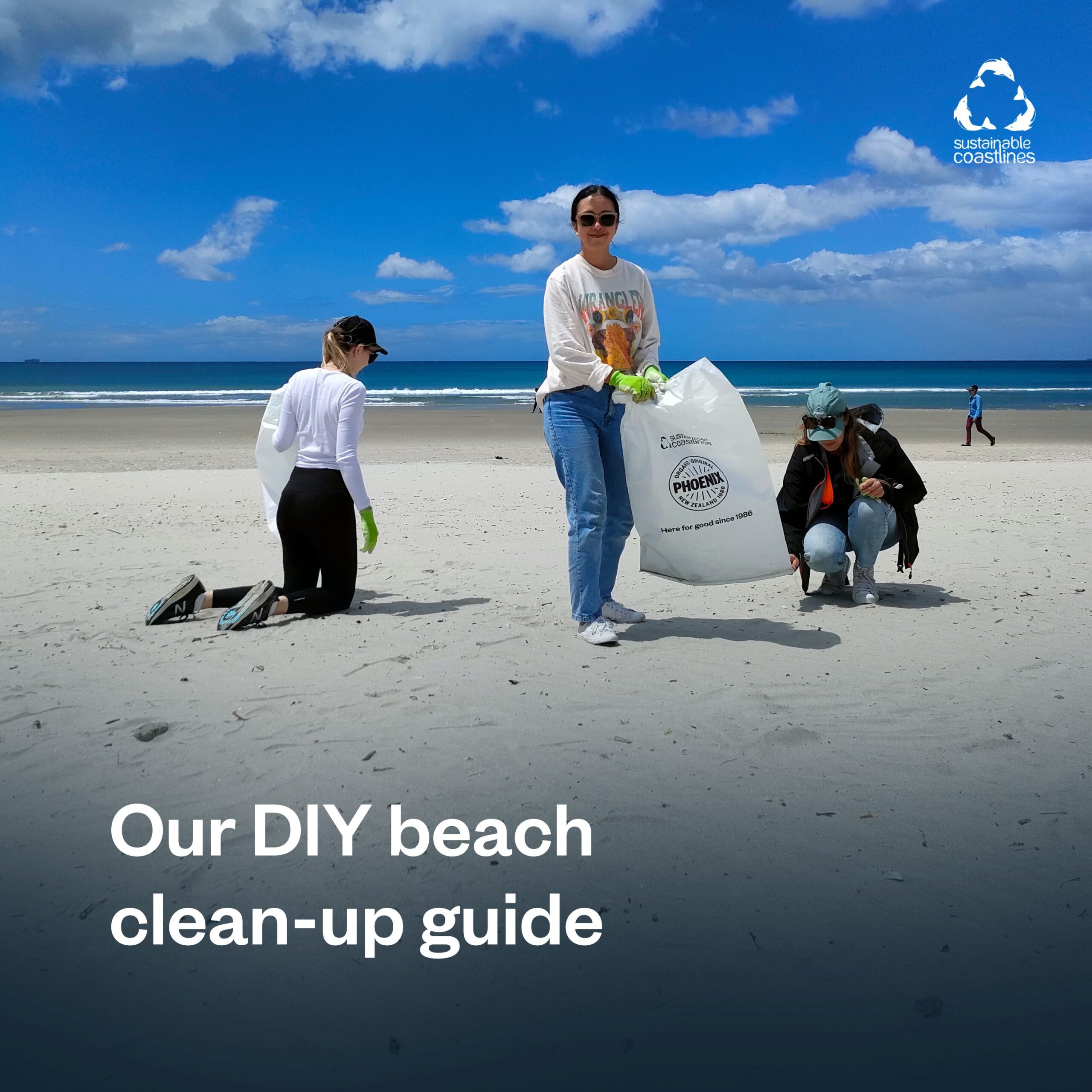 Our DIY beach clean-up guide | Sustainable Coastlines