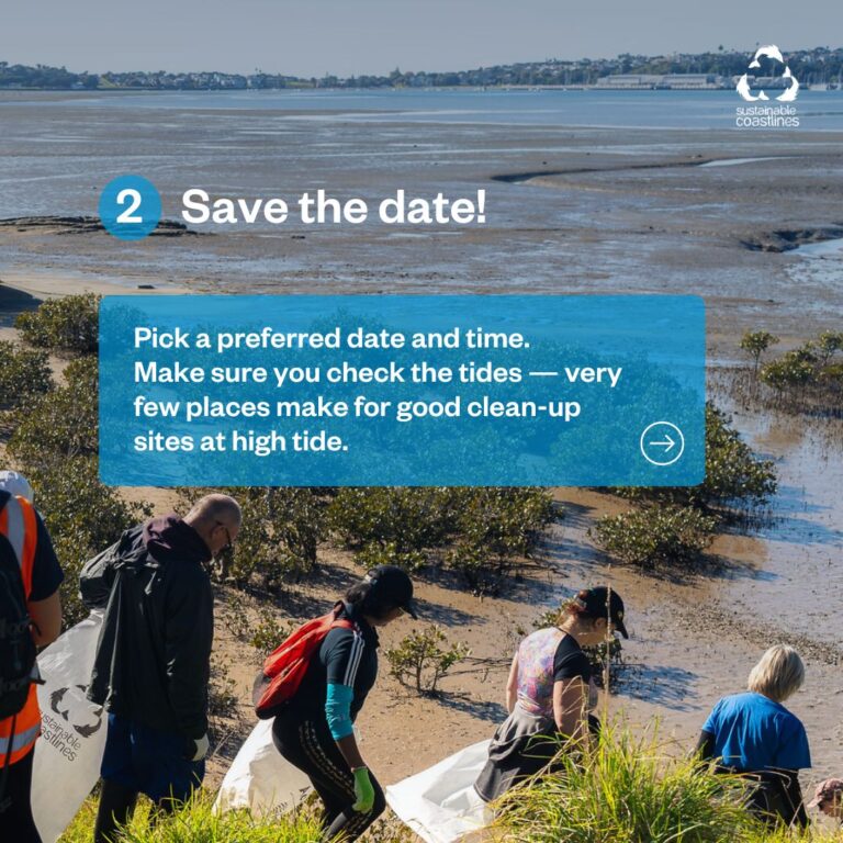 Our DIY beach clean-up guide | Sustainable Coastlines