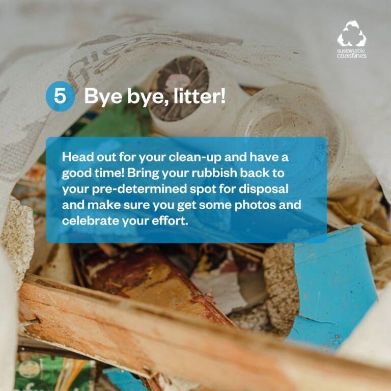 Our DIY beach clean-up guide | Sustainable Coastlines