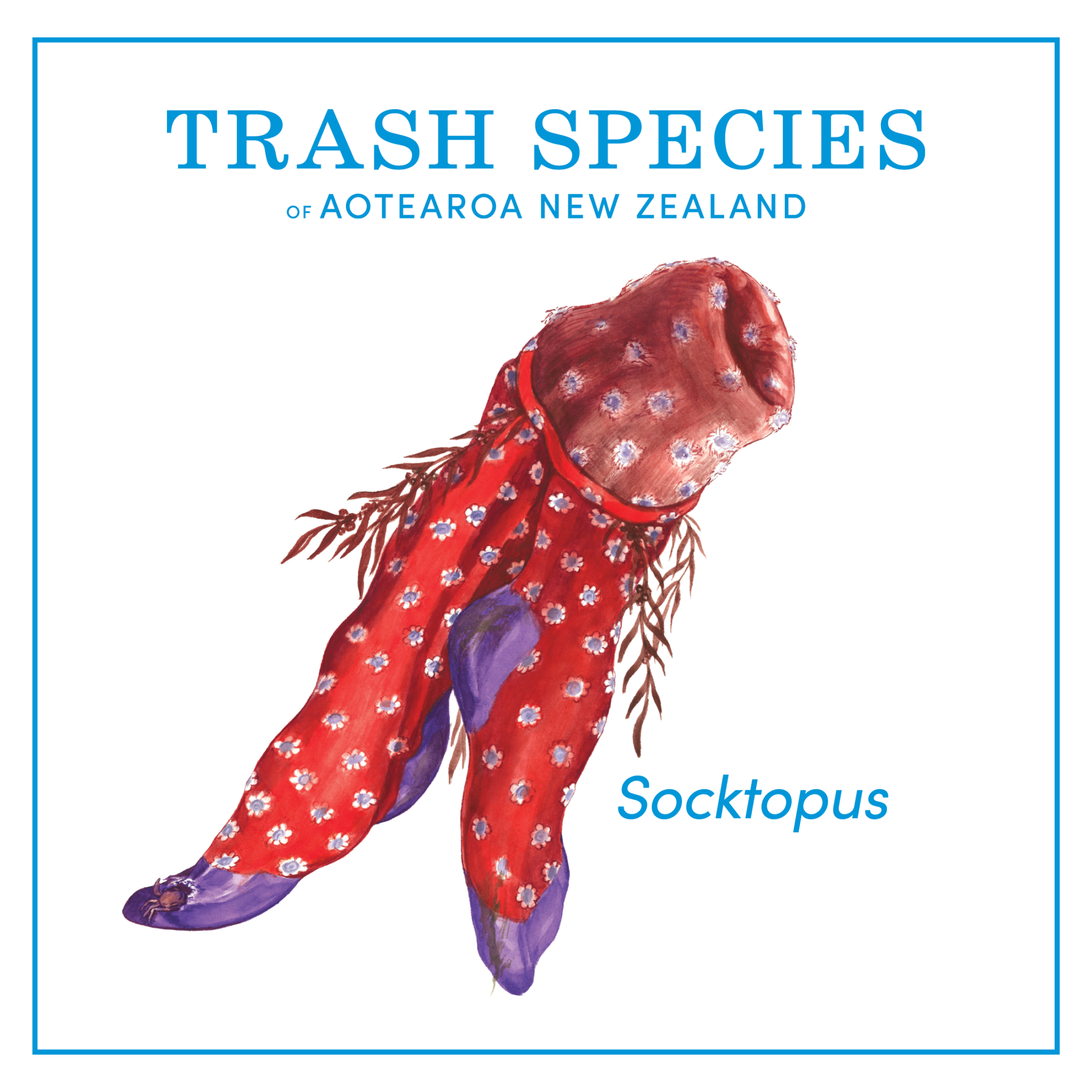 Meet the Trash Species of Aotearoa New Zealand | Sustainable Coastlines